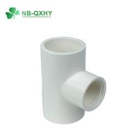 China 1/2 Inch to 1 Inch Sch40 Plastic Pipe Fitting Tee PVC Female Tee with Round Head Code for sale