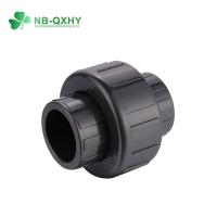 China Plastic Sch80 Union DIN 1/2