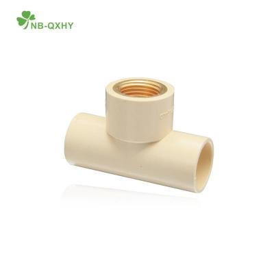 China Casting ASTM 2846 Fittings Nb-Qxhy Water Supply Pipe Female Tee with Brass Thread for sale