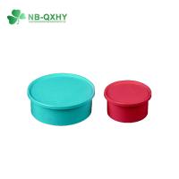 China NB-QXHY PVC Drain Dwv Pipe Fittings Plug for Water System in OEM White/Blue/Red PVC for sale