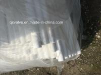 China Zhejiang PVC Pipe Fittings for Water Supply Sch40 Customized Request and Customization for sale