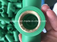 China White PPR Plastic Pipe for Drinking Water Size 20 to 110mm in Sell for sale