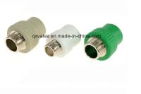 China Forged PP-R Pipe Fitting Coupling Elbow Tee Union and More for Versatile Applications for sale