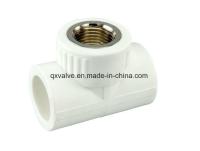 China Forged PP-R Pipe Fitting Coupling Elbow Tee Union and More for Versatile Applications for sale
