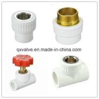 China PPR Fittings Series Copper Female Couping Blue Green White Gray with Customization for sale