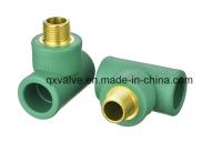 China Round UV Protection PP-R Coupling For Pipe And Pipe Fittings for sale