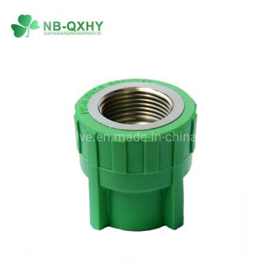 China PP-R Normal Green Pipe Fitting Connector Female Brass Insert Coupling for Benefit for sale