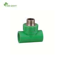 China Nb-Qxhy Plastic Tube PPR Brass Male Tee for Hot and Cold Water Minimum Order 1 Piece for sale