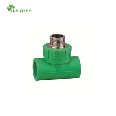 China Nb-Qxhy Plastic Tube PPR Brass Male Tee for Hot and Cold Water Minimum Order 1 Piece for sale
