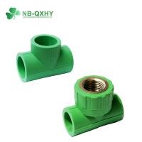 China PP-R Pipe Fitting for Plastic Fitting Reducing Water Connector PPR Pipe for sale