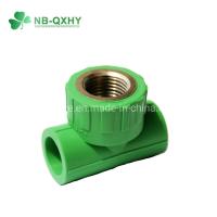 China PPR Tee Forged Brass PPR Pipe Fitting Female Male for Hot Water Distribution System for sale
