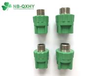 China DIN Standard PPR Pipe Fittings Brass Male Coupling Flexible or Rigid Customization for sale