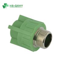 China Flexible Hot and Cold Water Pipes PPR Pipe Fitting Male Coupling with Brass for sale