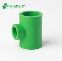 China Green PPR Cross Pipe Connectors Your One-Stop Solution for Irrigation All Types for sale