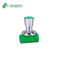 China Agricultural Pipes PP-R Water Pipe Fitting with Brass in Different Sizes for sale