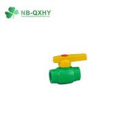 China Agricultural Pipes PP-R Water Pipe Fitting with Brass in Different Sizes for sale