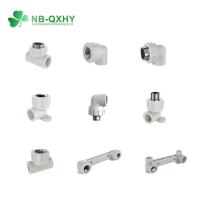 China PP-R Plastic Pipe Fittings Valve Tee Elbow Tube Plumbing Fittings for Initial Payment for sale