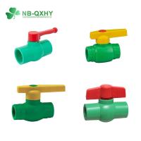 China PP-R Plastic Pipe Fittings Valve Tee Elbow Tube Plumbing Fittings for Initial Payment for sale