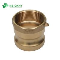 China Brushed Brass Camlock Hose Coupling Type A B C D DC for Industrial Fluid Systems for sale