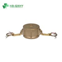 China Polished Surface Brass Camlock Hose Coupling Type A B C D DC for Industrial Applications for sale