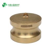 China Boost Your Productivity with Brass Quick Hose Coupling Type E F Dp Request a Sample for sale