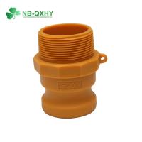 China Brushed Male Cam Lock Groove Fitting Camlock Couplertype F Thread Distribution Male for sale