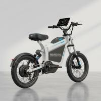 China Grade Ability 10 to 15 Degrees Electric Two Wheeler Bike Engineered for Reliability Comfort and Energy Efficiency for sale