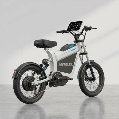 China Grade Ability 10 to 15 Degrees Electric Two Wheeler Bike Engineered for Reliability Comfort and Energy Efficiency for sale