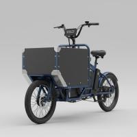 China Maximum Speed 30 to 50Km per hour Electric Cargo Tricycle featuring Disc Brake Type designed for cargo transport in city environments for sale