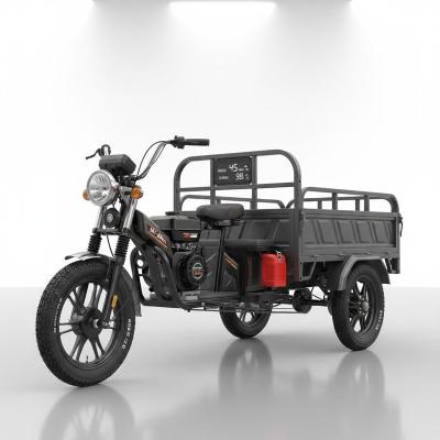 China 350-12 375-12 400-12 Tyre Electric Cargo Tricycle Featuring 151 to 200cc Displacement and 450-10 Vaccum Tyre Wheel for Goods Hauling for sale