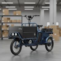 China Brushless Motor Electric Cargo Tricycle Offering 265kg Load and Rear Carrier Battery Position Perfect for Delivery Services for sale