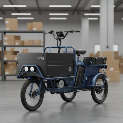 China Brushless Motor Electric Cargo Tricycle Offering 265kg Load and Rear Carrier Battery Position Perfect for Delivery Services for sale