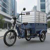 China Lithium ion Battery Electric Cargo Tricycle Offering Disc Brake and 10 to 15 Degree Grade Ability for Cargo Distribution for sale