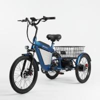 China Brushless Motor Electric Tricycle Lithium Battery Designed with Disc Brake Type Providing Power Output and Braking System for sale