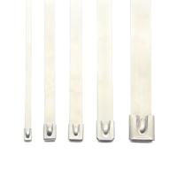 China Self-locking Metallic PVC Coated Stainless Steel Cable Ties for Free Sample for sale