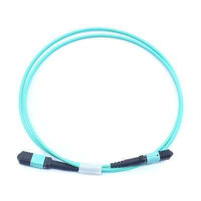 China Flexible and Durable Fiber Optic Patch Cord with MPO Connector for Versatile Network Applications for sale