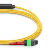 China 24 Cores Mtp Patch Cable Mpo Fiber Patch Cable SM OS2 With LSZH Out Jacket for sale