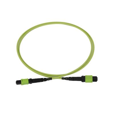 China 50/125 OM5 Mpo Fiber Jumper Mtp Mpo Fiber Patch Cable 3.0mm PVC for sale