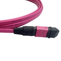 China 50/125 OM4 MM MPO Patch Cord 24F 3.0mm PVC High Density Multimode for sale