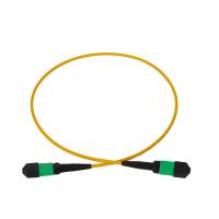 China 12F MPO Patch Cord 3mm LSZH Out Jacket PVC OFNR Outdoor For Network for sale