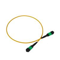 China 12F MPO Patch Cord 3mm LSZH Out Jacket PVC OFNR Outdoor For Network for sale