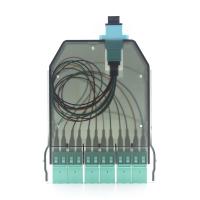 China 12 Cores OM3 OM4 Multimode MTP/MPO to LC Fiber Optic Patch Panel Cassettes Module for sale