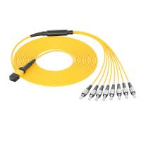 China FTTH SM MTP 40/100/200G MPO-FC 8Cores OS2/G652D Fan-out Fiber Jumper for sale