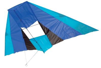 China Adults Playing 3D Kite Fabric Splicing Pattern Design Oem / Odm Acceptable for sale