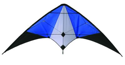 China Classic  style outdoor Delta sports kite colorfully with common size for sale