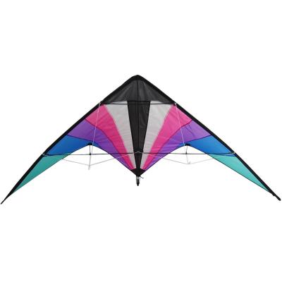 China Stackable colorized fabric Delta stunt kite, adults delta kite for sports for sale