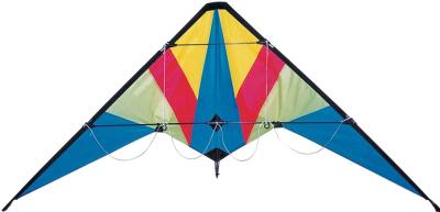 China Dual line Delta stunt kite good sharp  sports kites for Spring season for sale