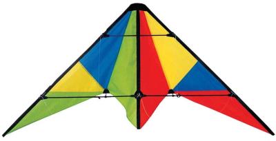 China Autumn polyester Delta stunt kite , 120~180cm wing span for kids and adults for sale