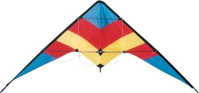 China Special picture polyester delta stunt kite , sports kite ,easy assemble for people for sale