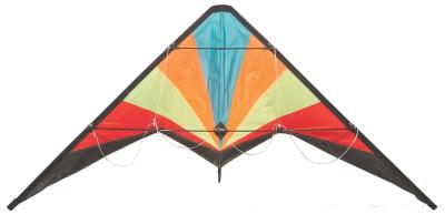 China Classic  style outdoor Delta sports kite colorfully with common size for sale